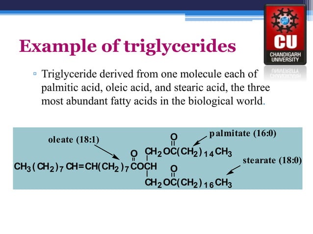 TRIGLYCERIDES | PPTX | Chemistry | Science