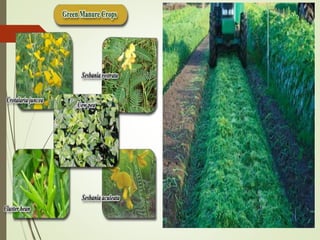 Moisture conservation practices 3102 | PPTX