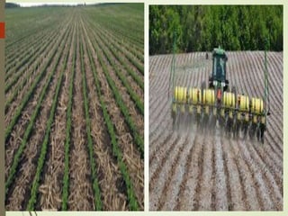 Moisture conservation practices 3102 | PPTX