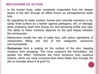Moisturizing cream ppt | PPTX