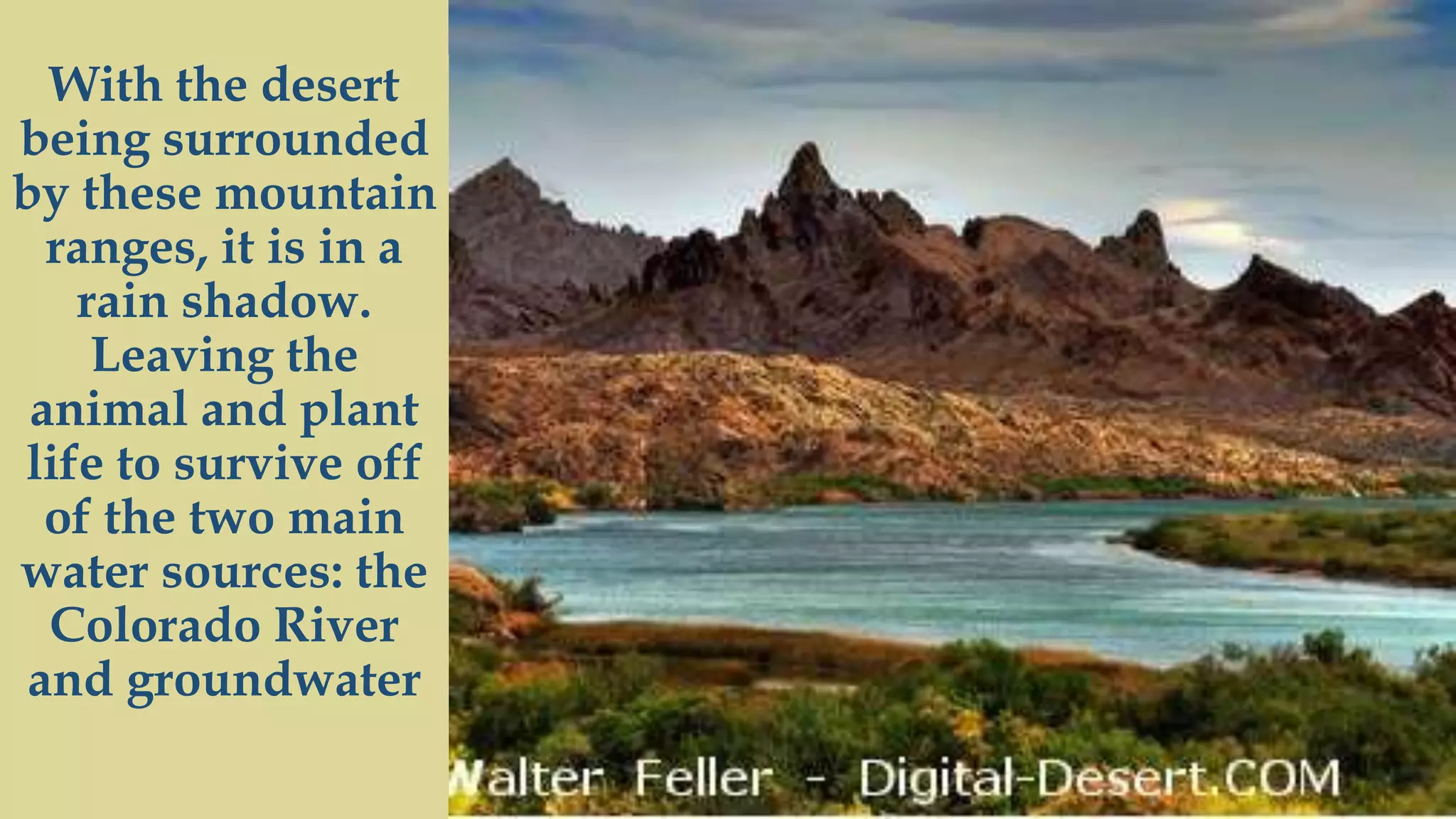 Mojave desert biome | PPTX