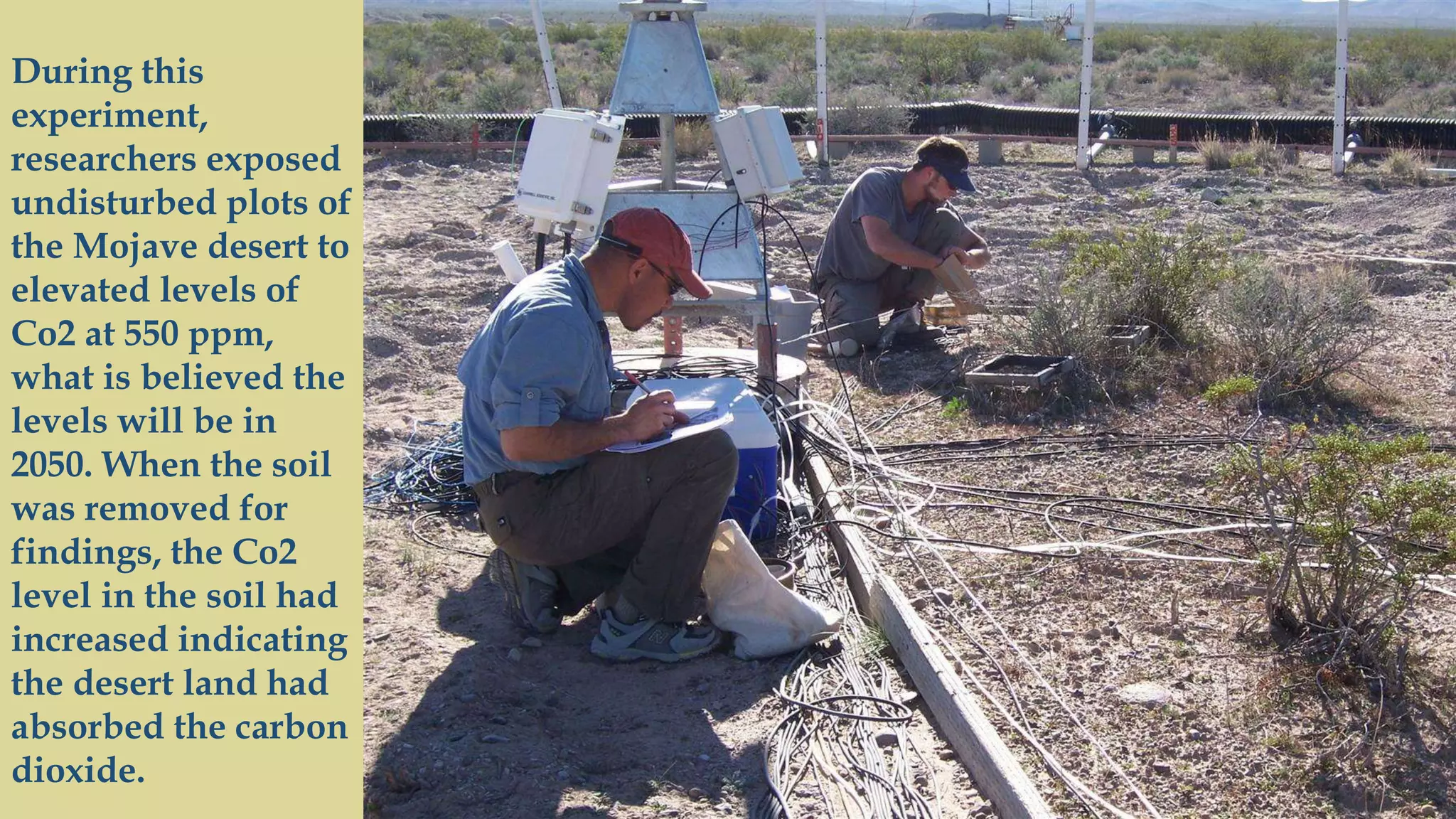 Mojave desert biome | PPTX