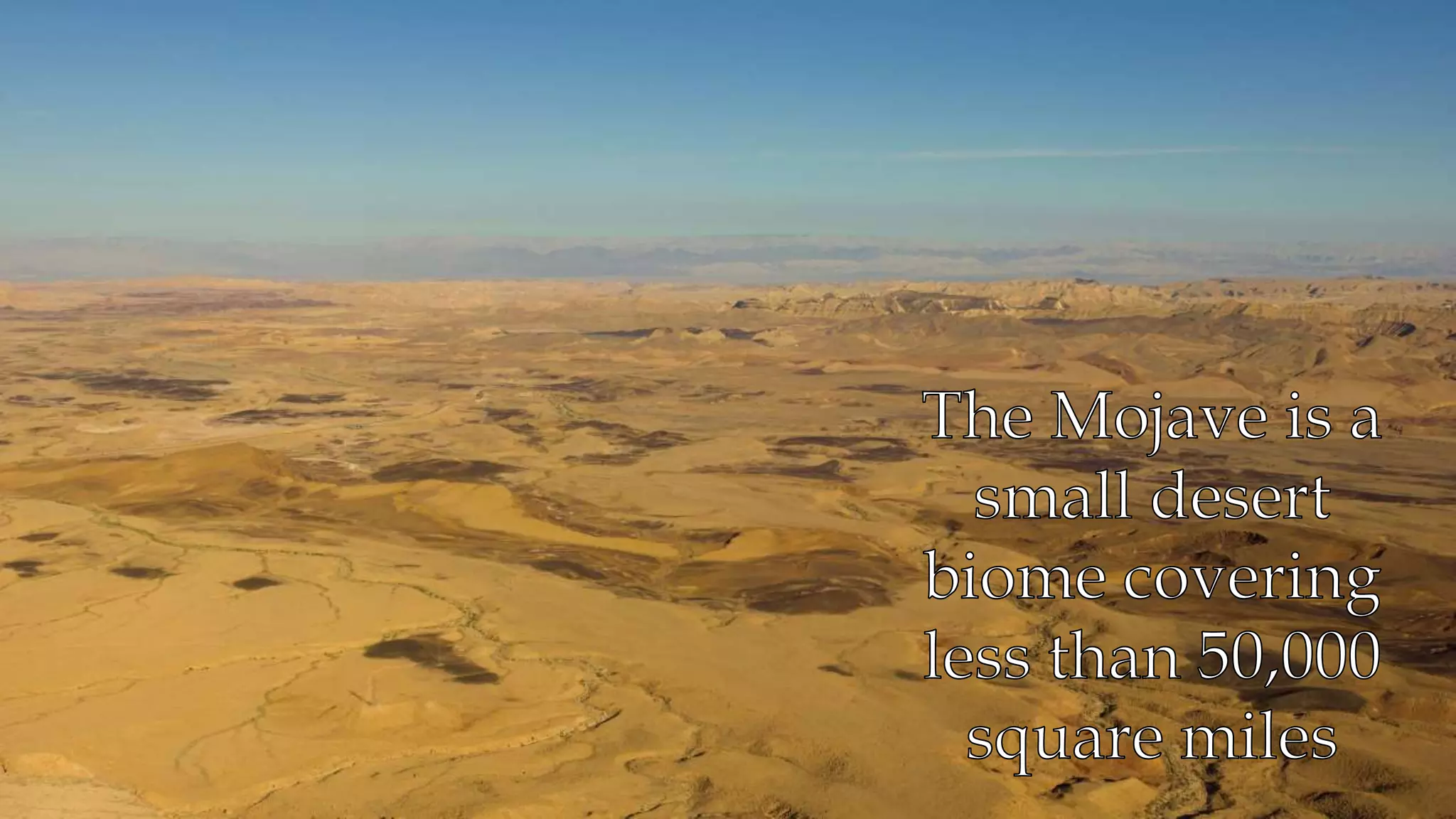 Mojave desert biome | PPTX