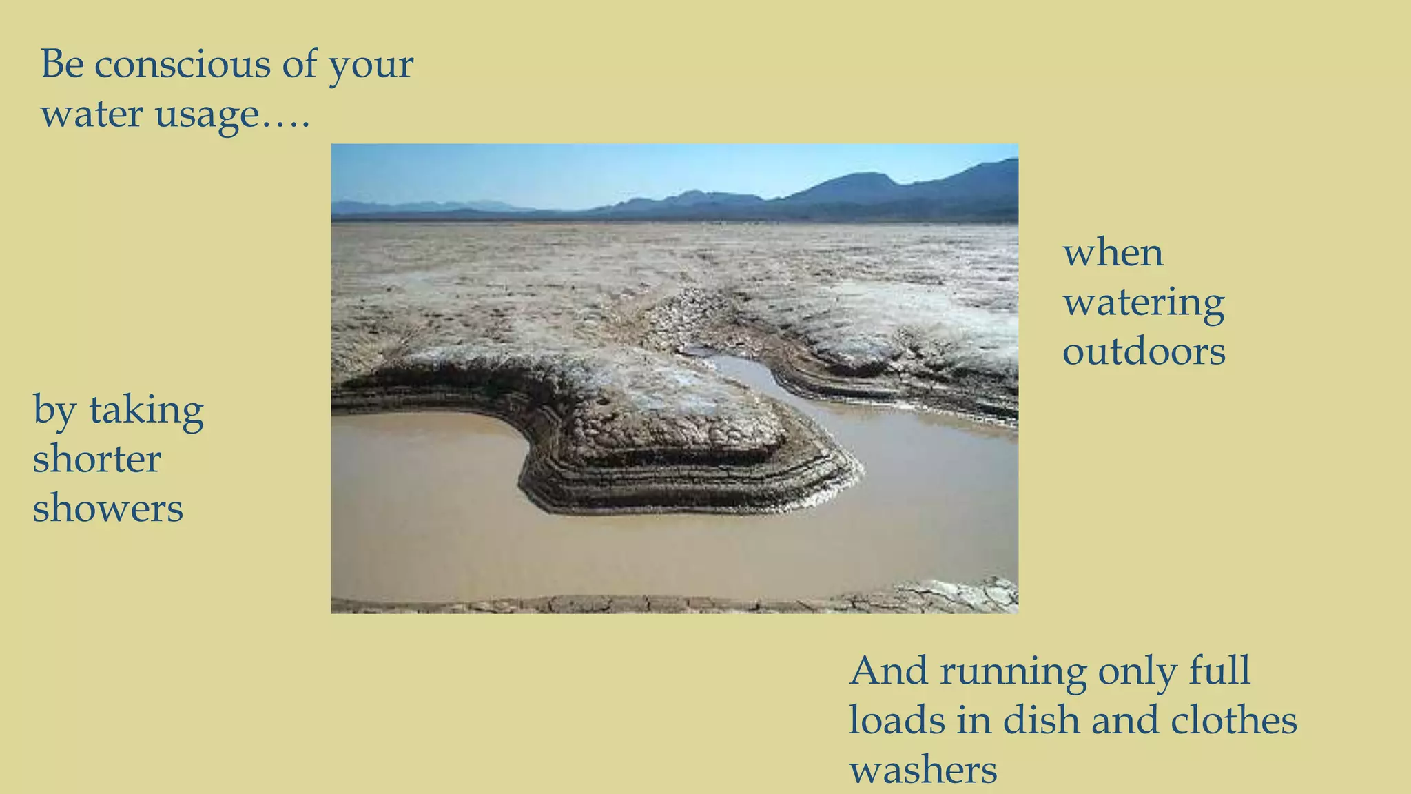 Mojave desert biome | PPTX