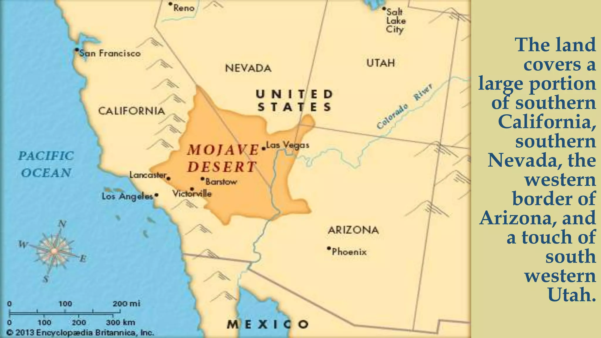 Mojave desert biome | PPTX
