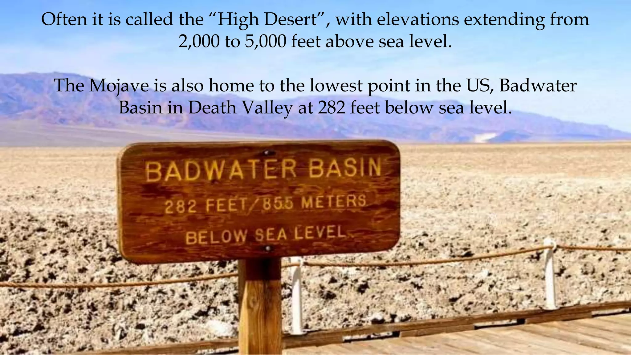 Mojave desert biome | PPTX