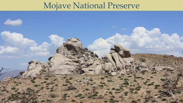 Mojave desert biome | PPTX