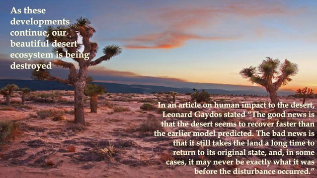 Mojave desert biome | PPTX