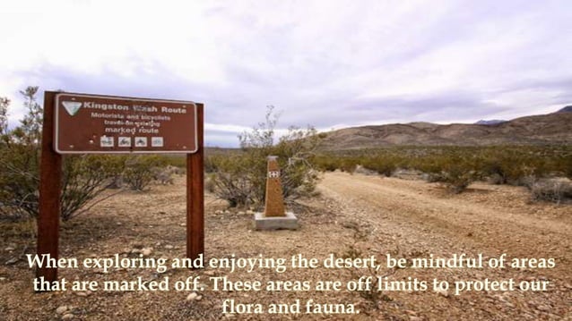 Mojave desert biome | PPTX