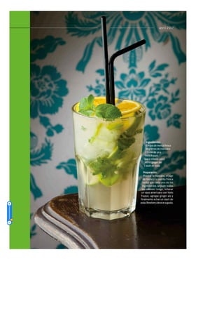 Mojito | PDF