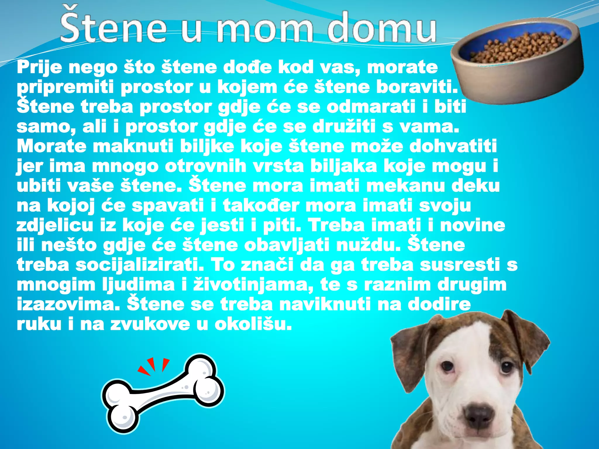 Moj pseći prijatelj u mom domu | PPT