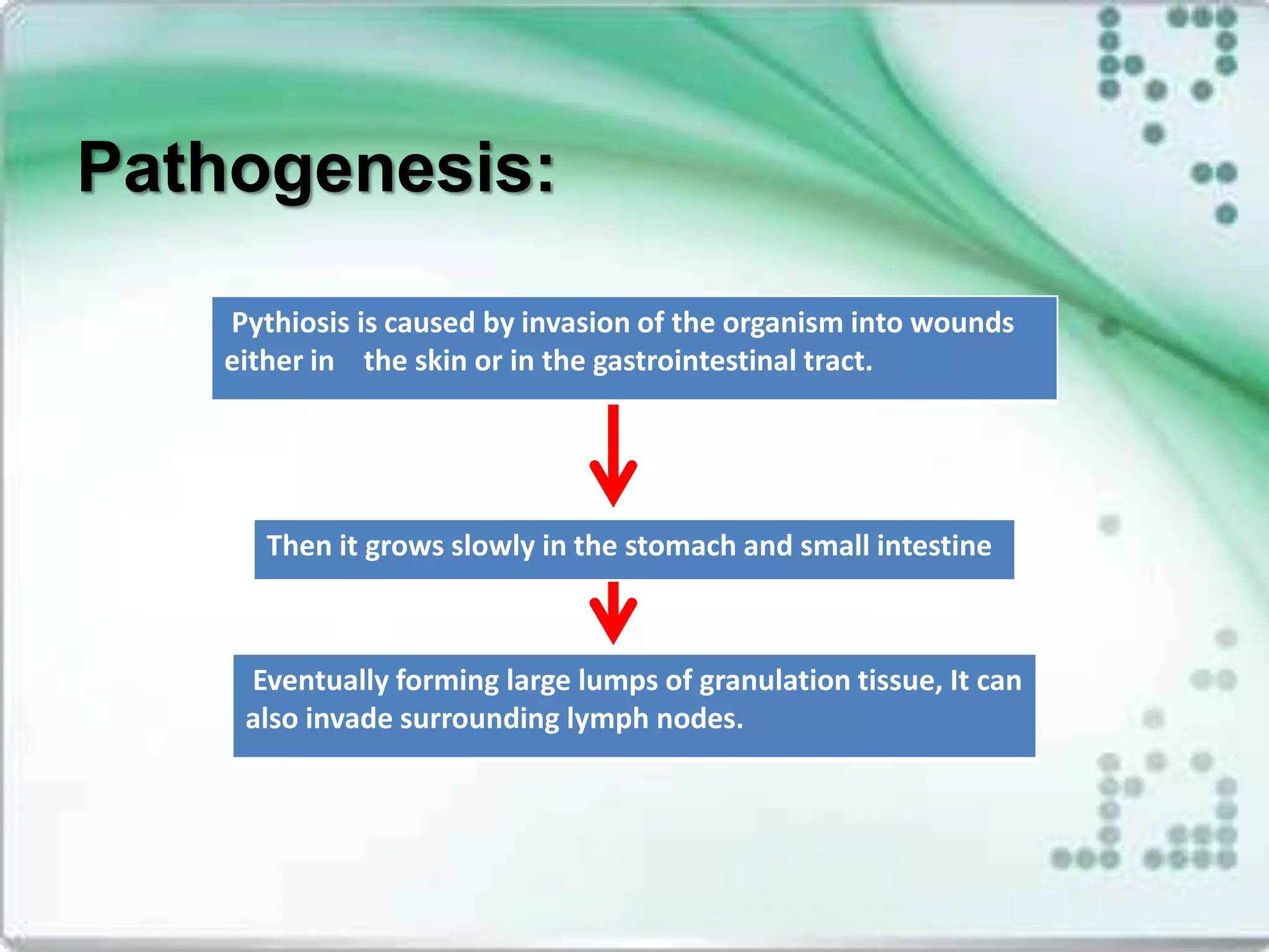 Pathogenesis,pathology and diagnosis of Cryptococcosis,Histoplasmosis ...