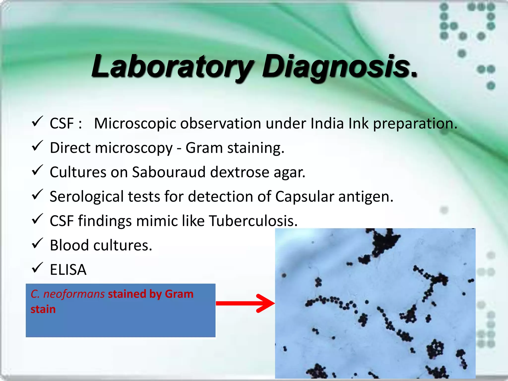 Pathogenesis,pathology and diagnosis of Cryptococcosis,Histoplasmosis ...