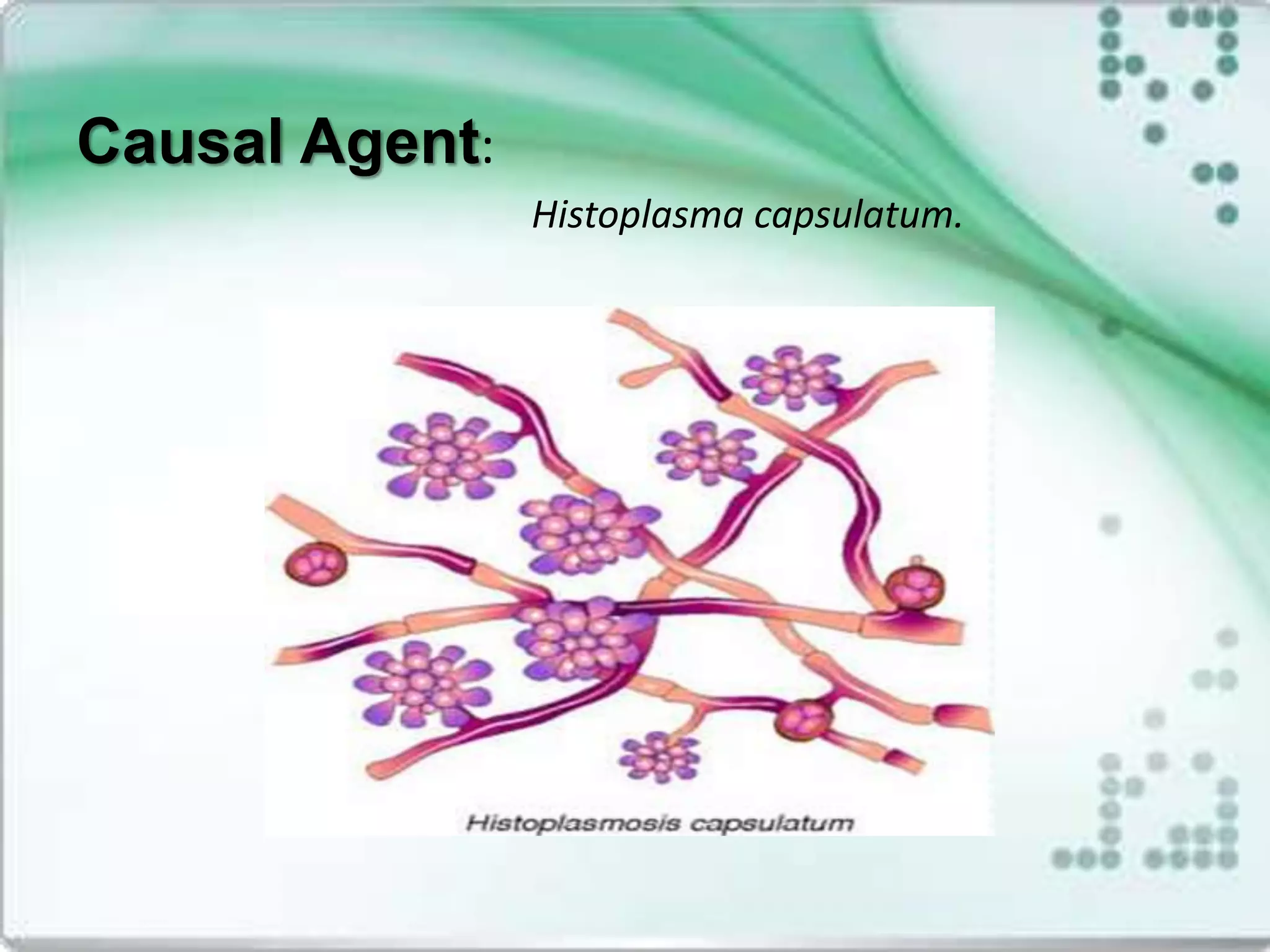 Pathogenesis,pathology and diagnosis of Cryptococcosis,Histoplasmosis ...