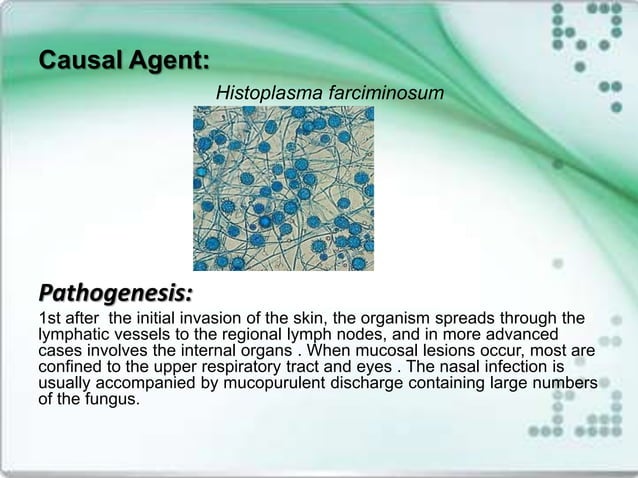 Pathogenesis,pathology and diagnosis of Cryptococcosis,Histoplasmosis ...