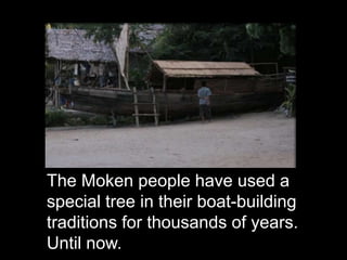 Moken Viral presentasjon | PPTX