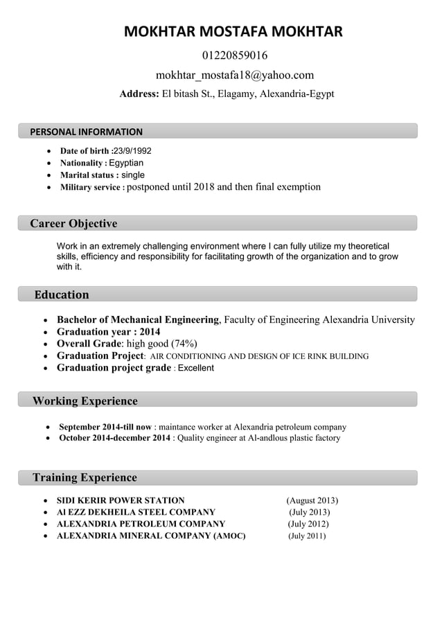 Mokhtar mostafa 's cv | PDF