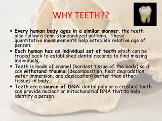 FORENSICS IN ENDODONTICS | PPTX