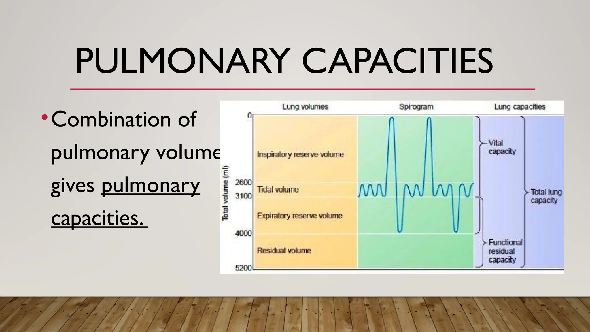 mokshith ppt.pptx spirogram physiology seminar | PPT