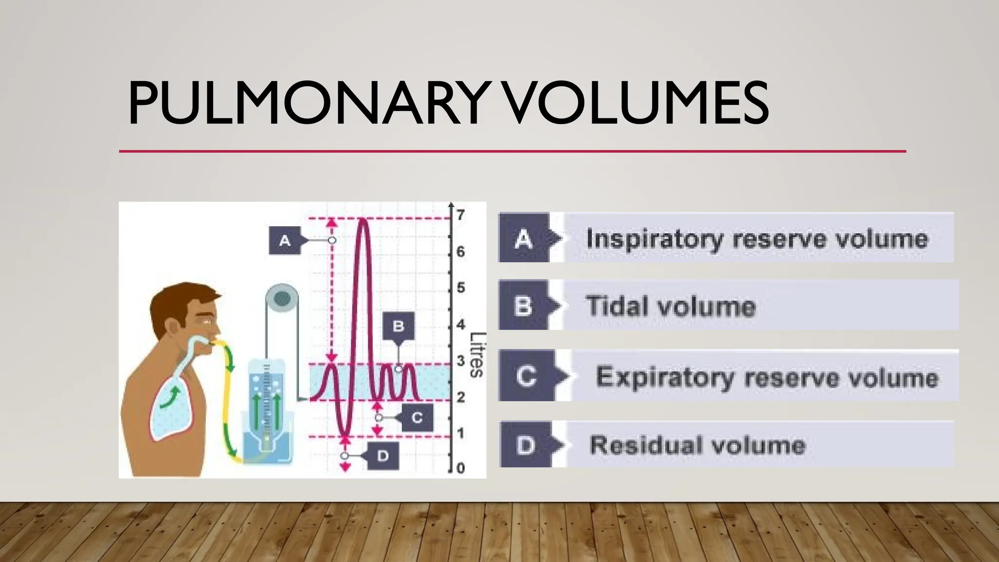 mokshith ppt.pptx spirogram physiology seminar | PPT