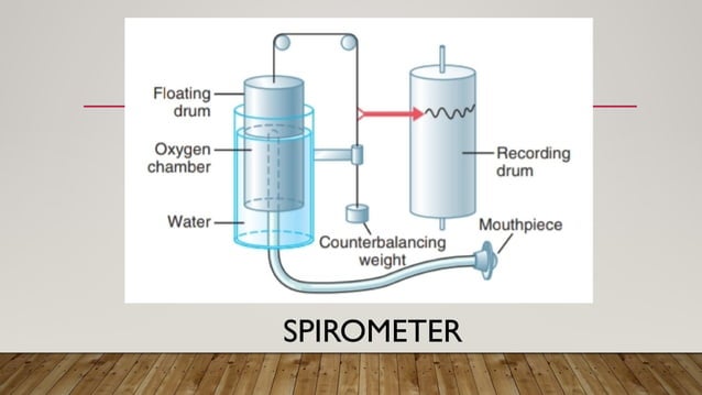 mokshith ppt.pptx spirogram physiology seminar | PPT