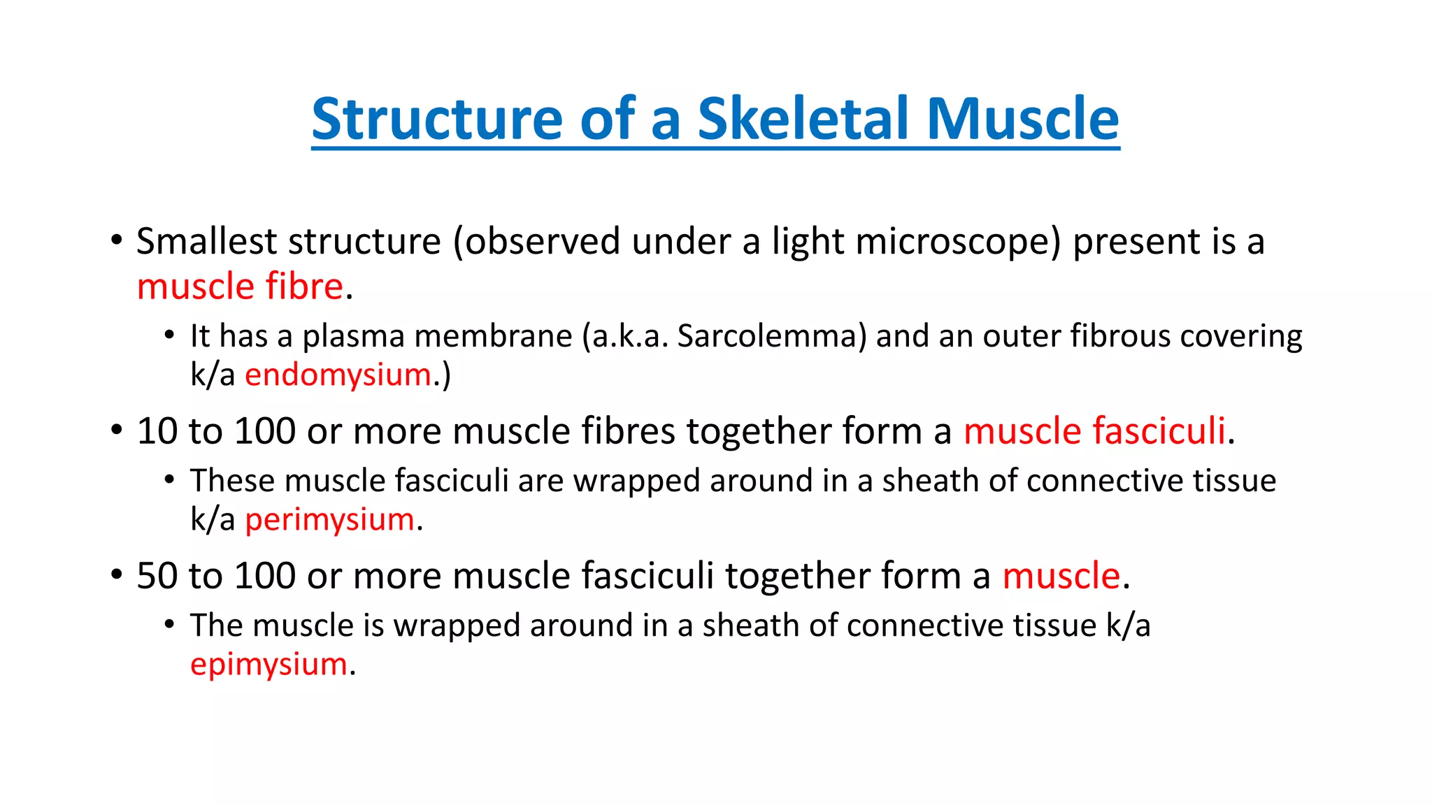 Molecular basis of Skeletal Muscle Contraction | PPTX