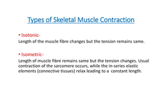 Molecular basis of Skeletal Muscle Contraction | PPTX