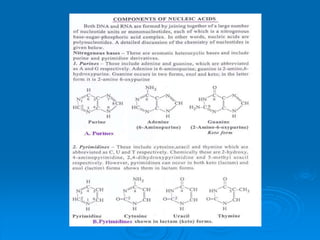 Mol. Biology + Nucleotide metabolism.ppt