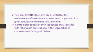 Chromosome structure. Classification of human chromosome. Telomere ...