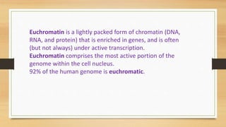Chromosome structure. Classification of human chromosome. Telomere ...