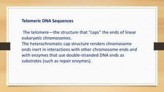 Chromosome structure. Classification of human chromosome. Telomere ...