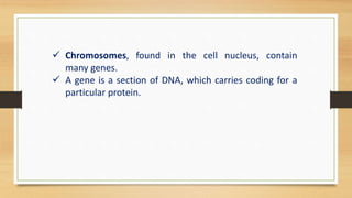 Chromosome structure. Classification of human chromosome. Telomere ...