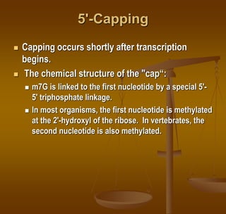 Mol genet-8. transkripsi2 | PPT