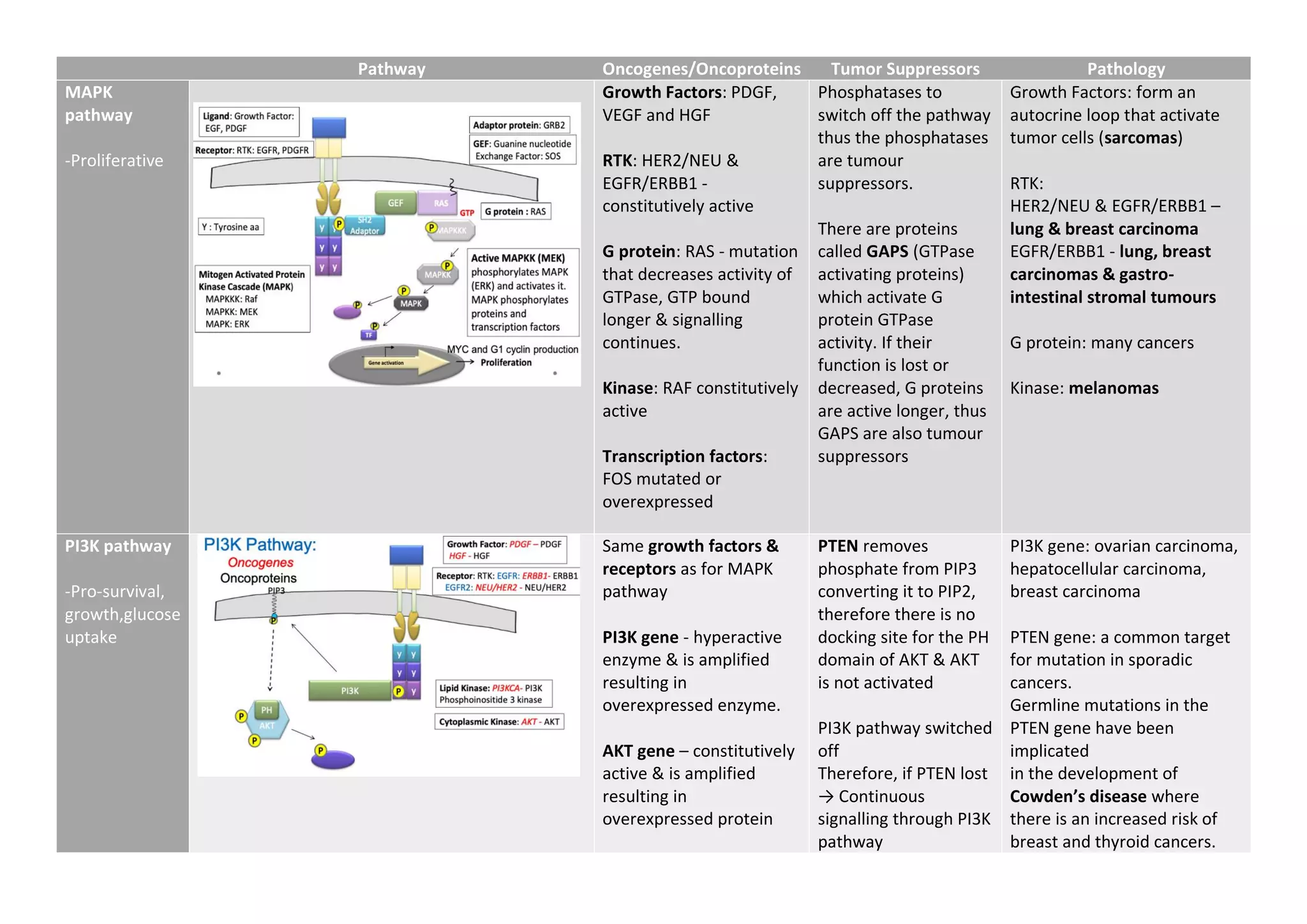 mol-med-pathways-table copy.pdf