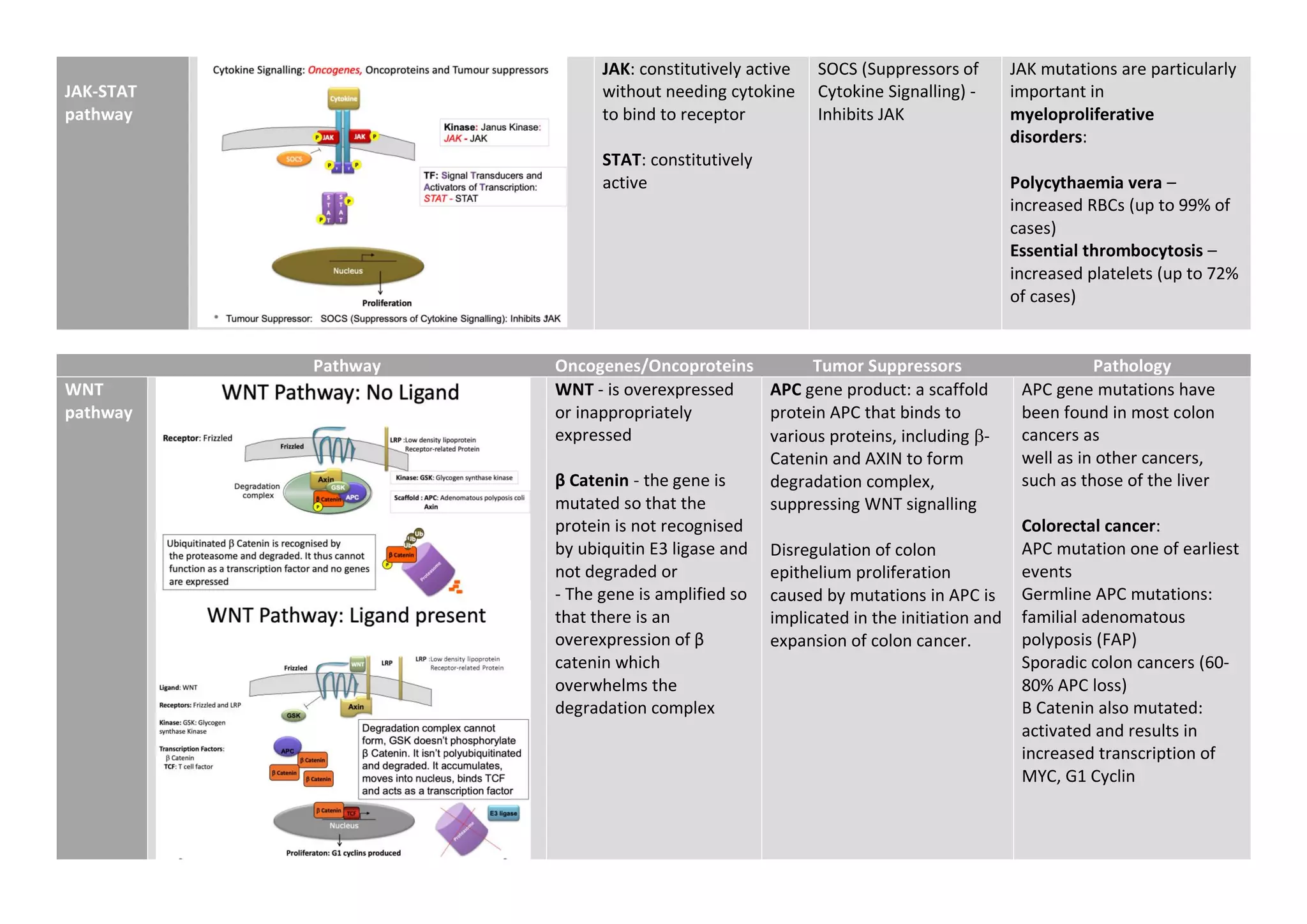 mol-med-pathways-table copy.pdf