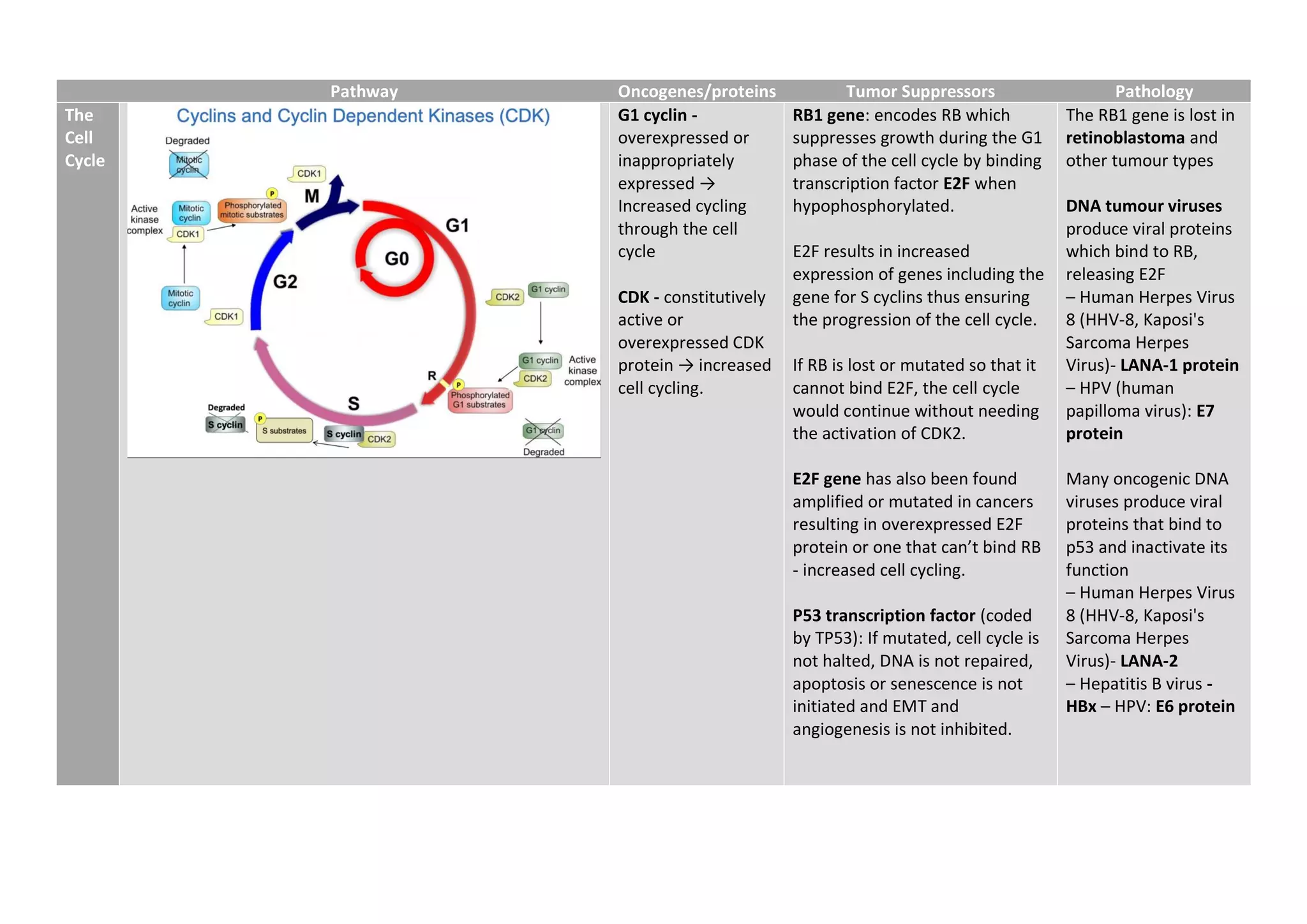 mol-med-pathways-table copy.pdf
