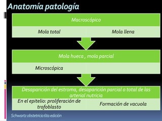 Mola hidatiforme | PPTX