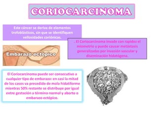 Mola hidatiforme, cuidados de enfermeria y DIAGNOSTICOS NANDA | PPTX