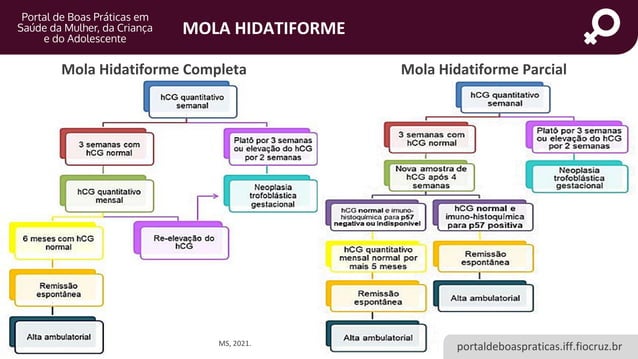 Mola Hidatiforme