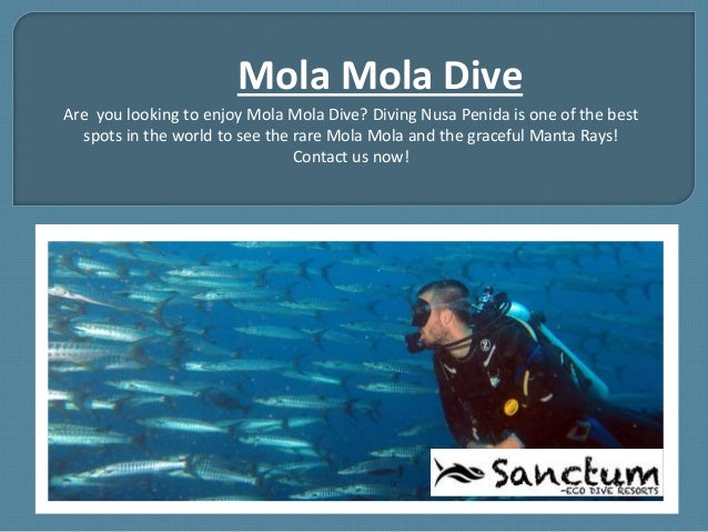 Mola Mola Dive | PPTX