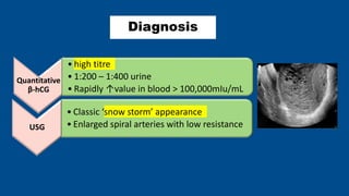molar for class.pptx