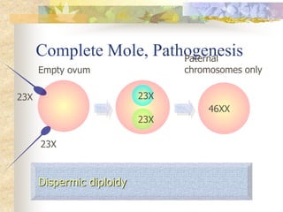 Pathophysiology Of H Mole Pregnancy