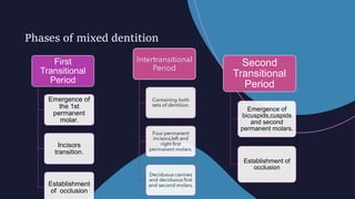Molar relationship pedo | PPTX