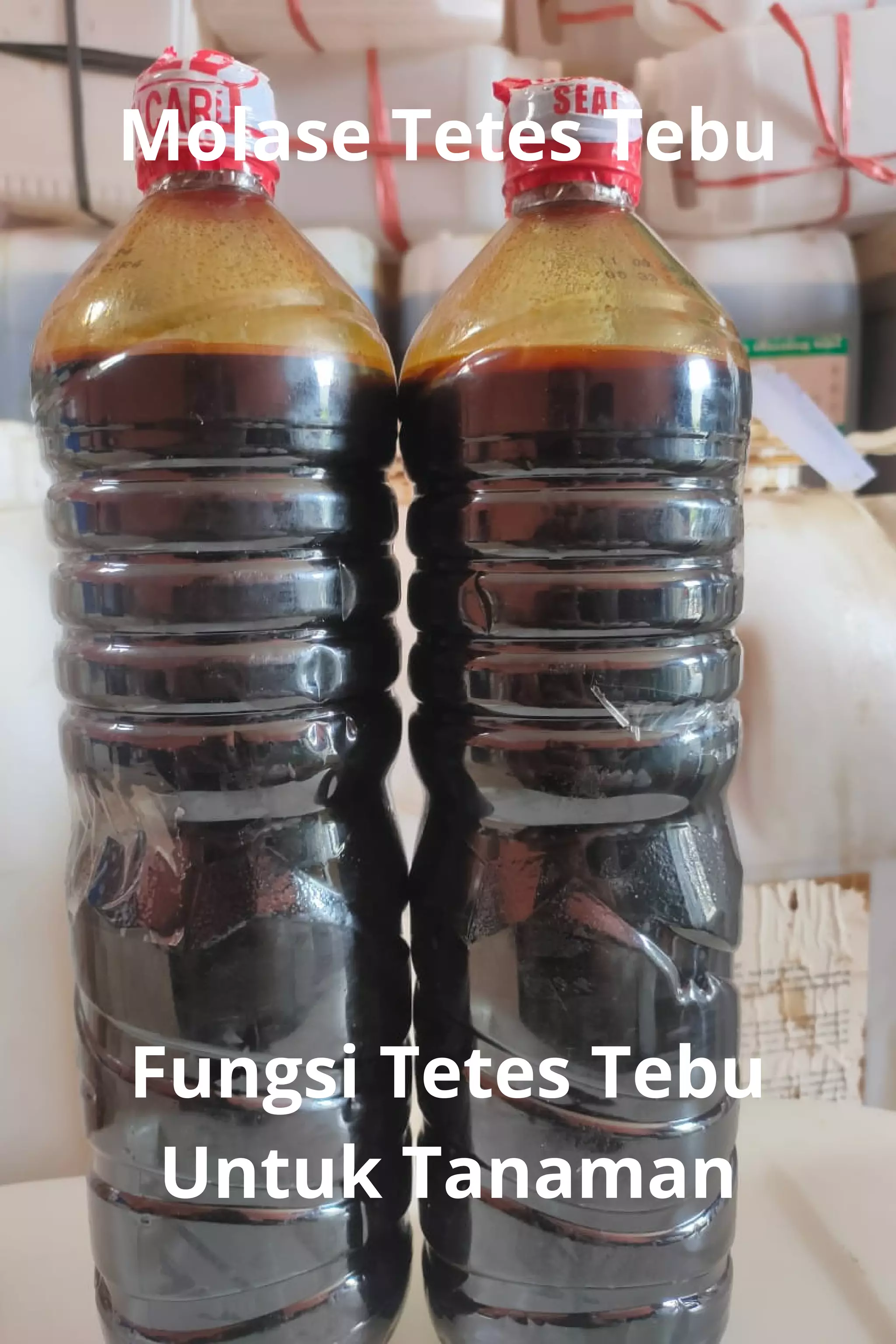 Fungsi Tetes Tebu Untuk Tanaman | PDF