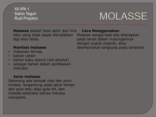 Molasse | PPTX