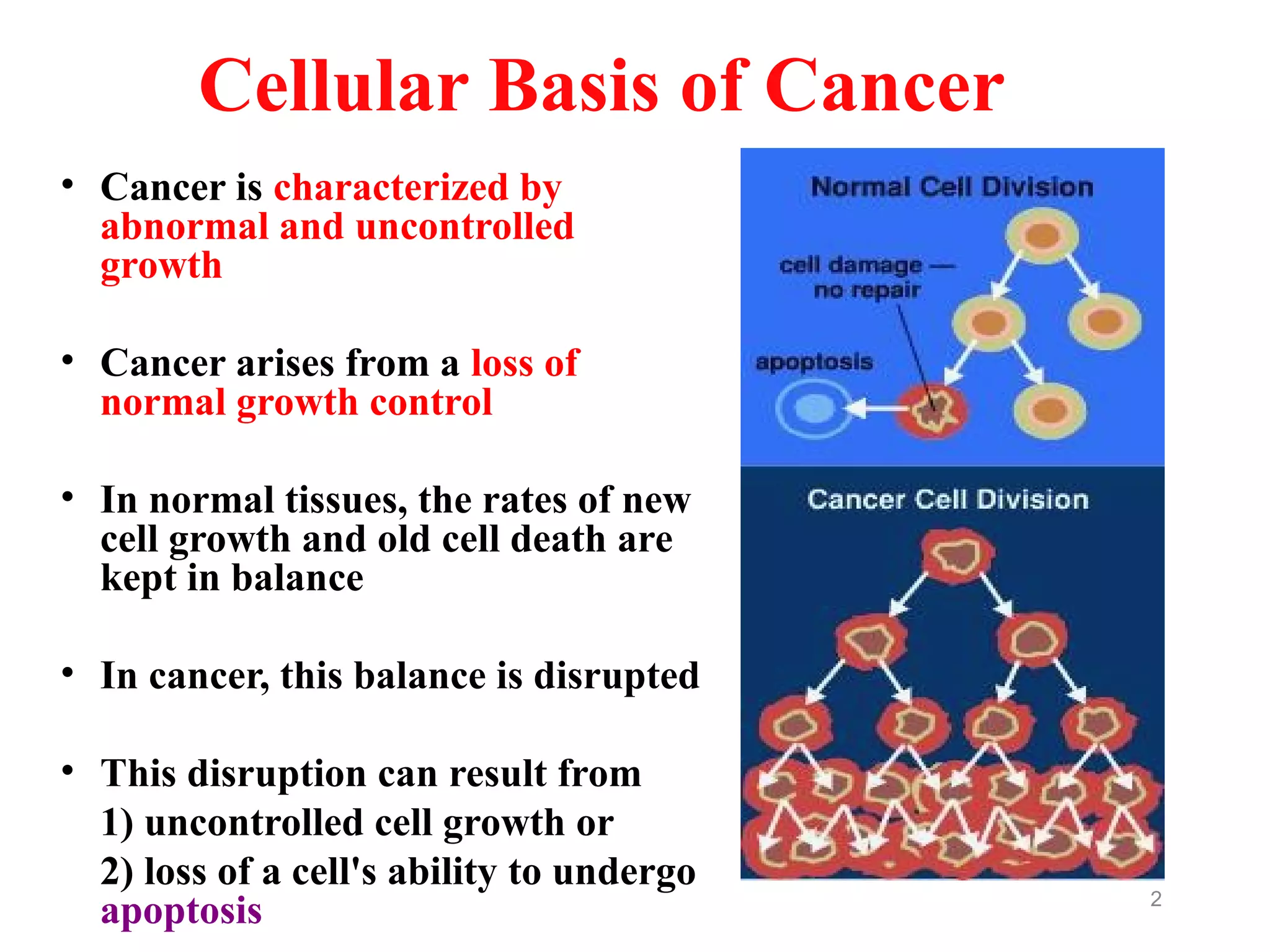 Molecular basis of Cancer | PPT