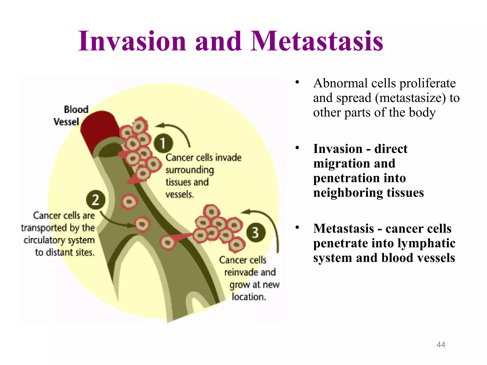Molecular basis of Cancer | PPT