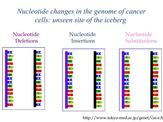 Molecular basis of Cancer | PPT | Cancer | Diseases and Conditions