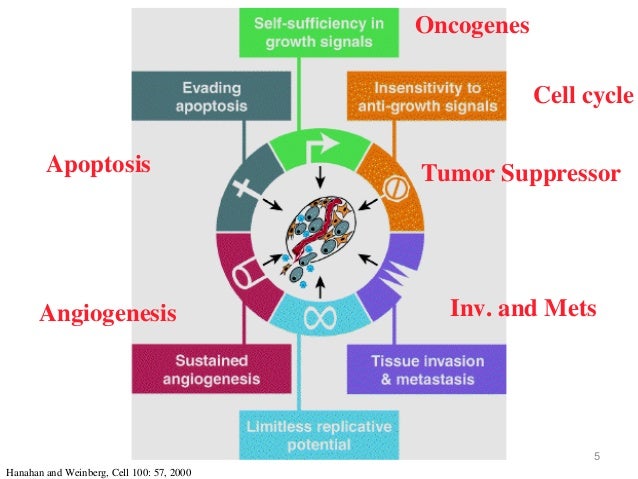 Molecular basis of Cancer