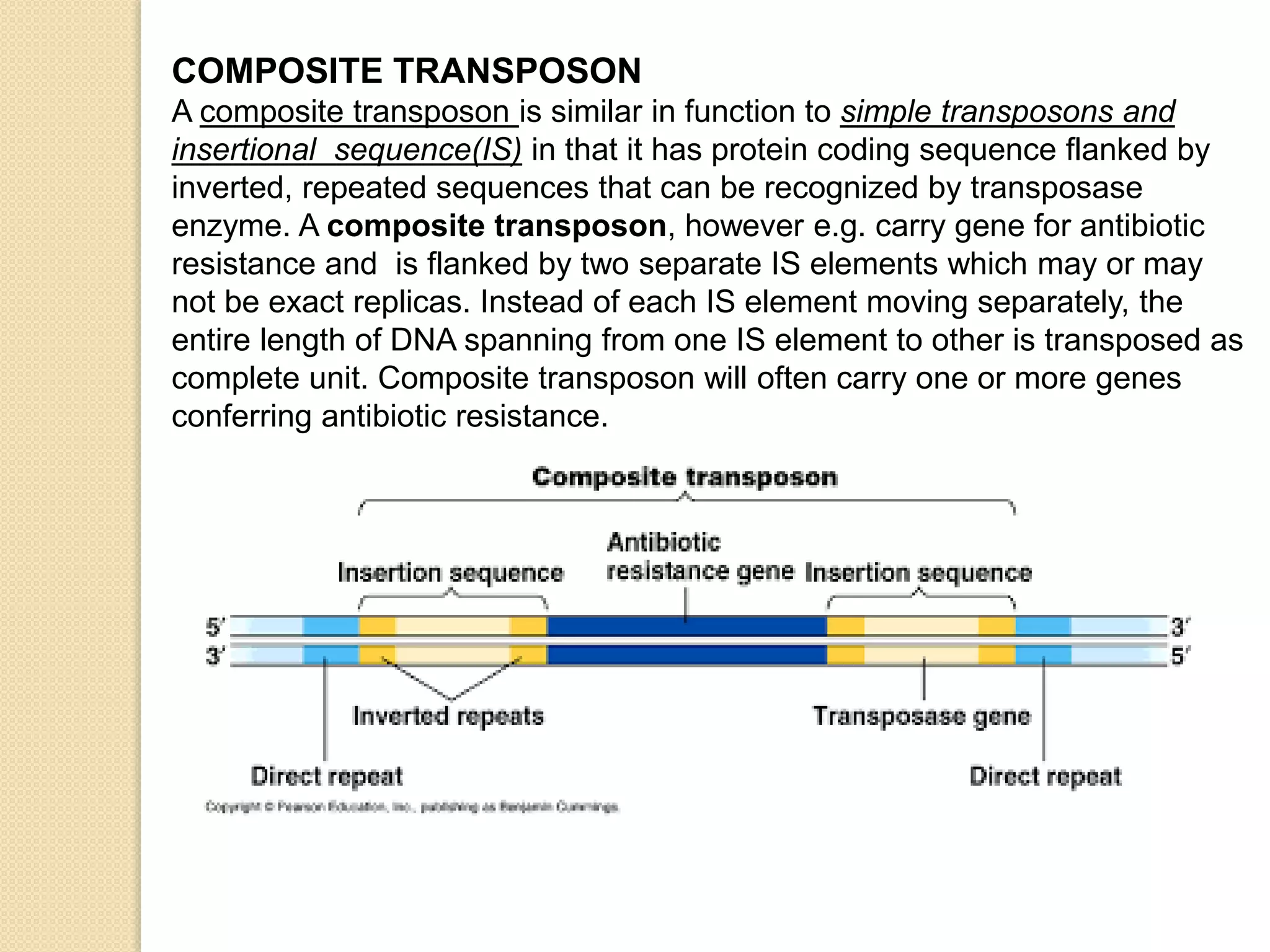 transposons | PPTX